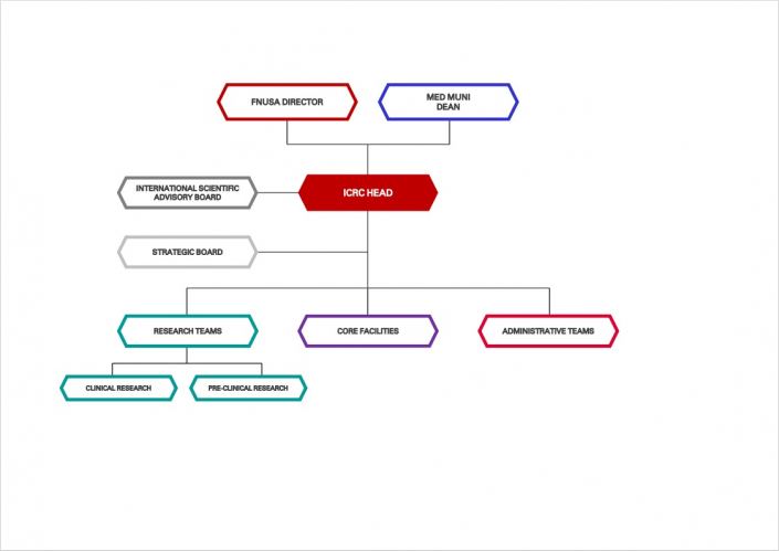 Organisational Structure - ICRC - International Clinical Research Center