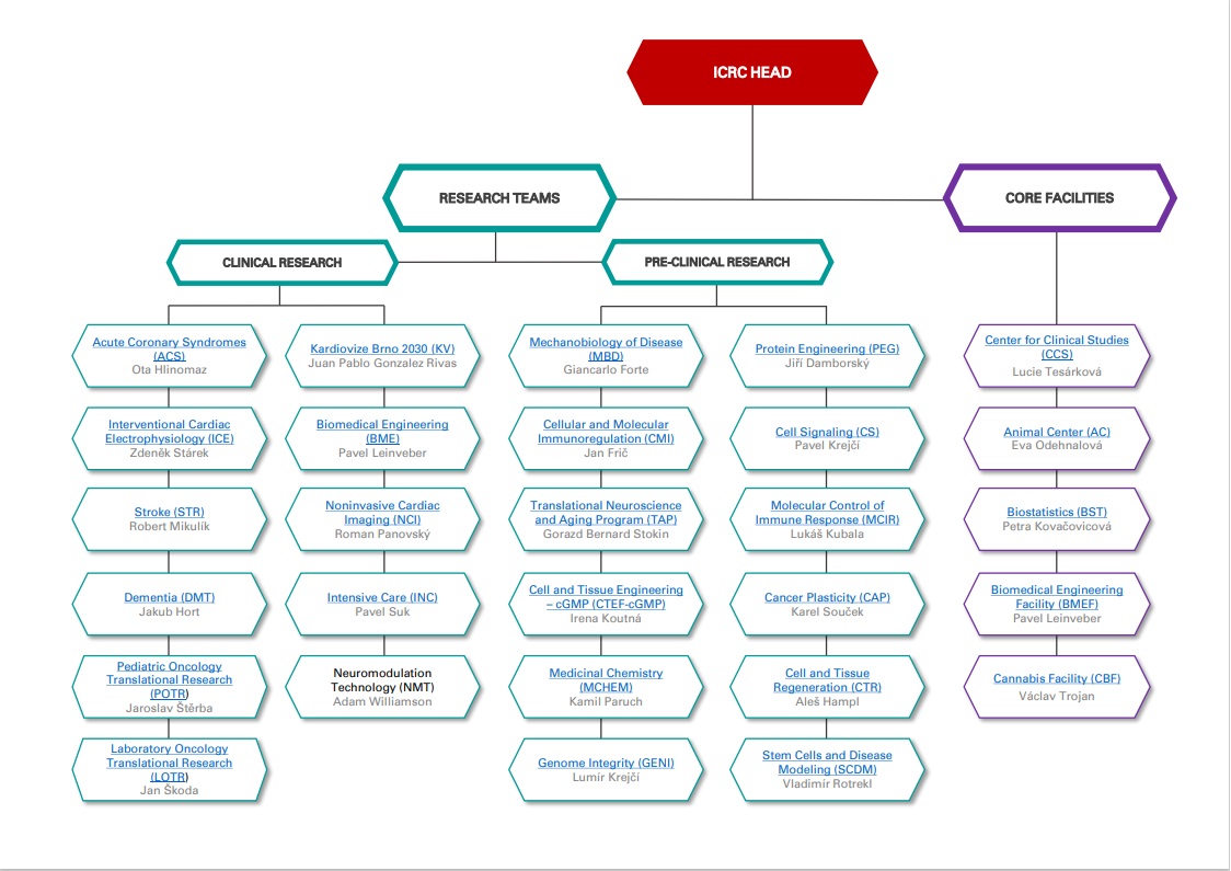 Organisational Structure - ICRC - International Clinical Research Center